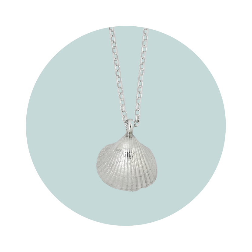 Silver Medium Cockle Shell Necklace – EBB & FLO